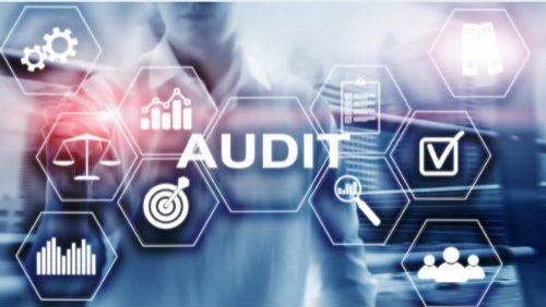 Social Audit – Business & Human Rights - Pro4b